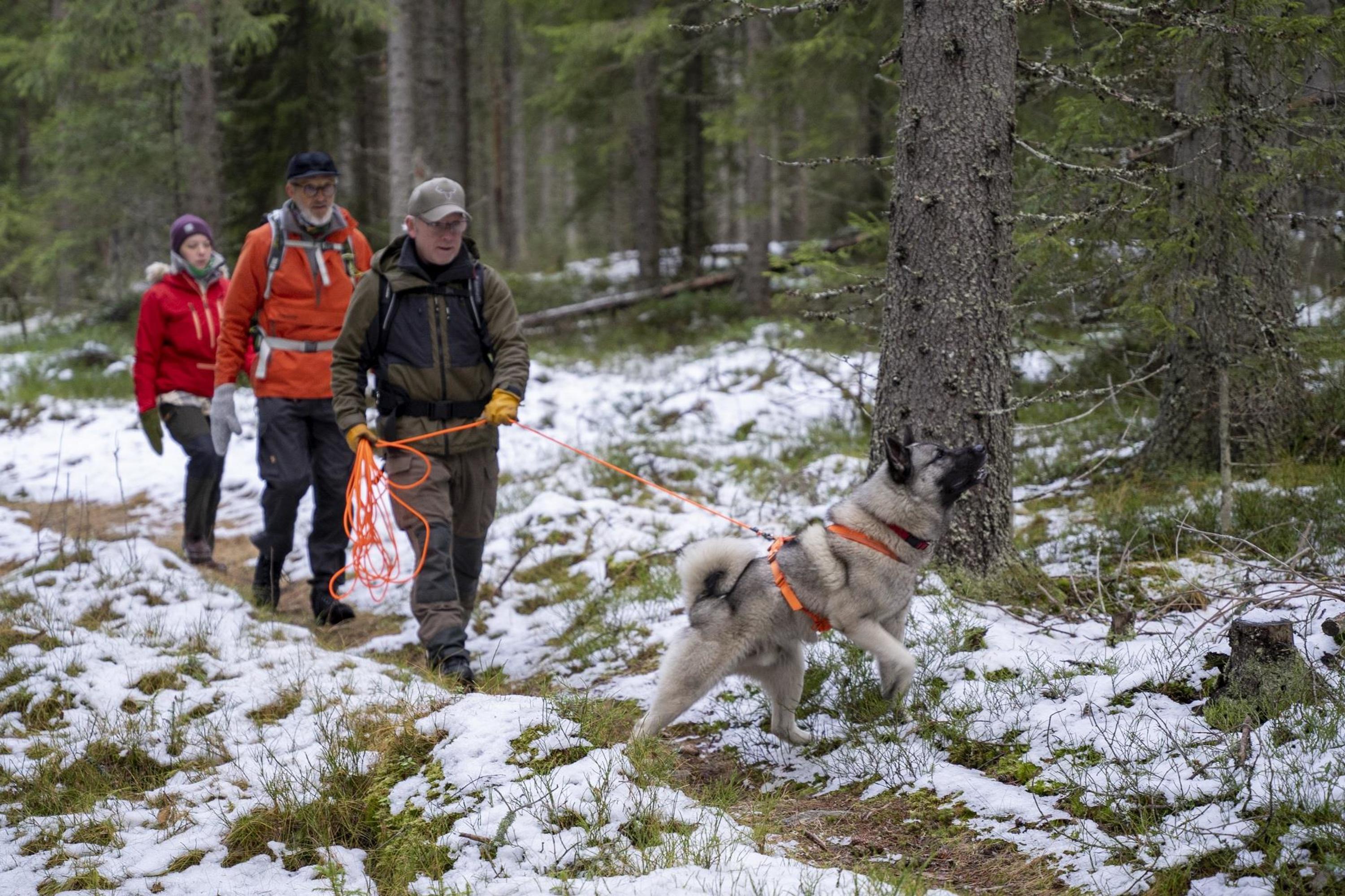 Finnskogen Adventures - Visit Øst-Norge